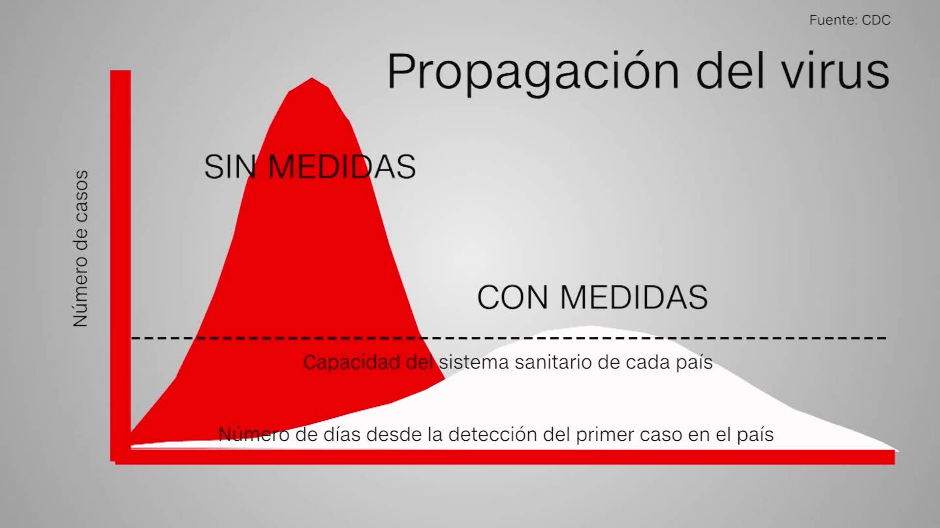 Prueba de la curva: Lo que necesitas saber para entenderla y mejorar tu ...