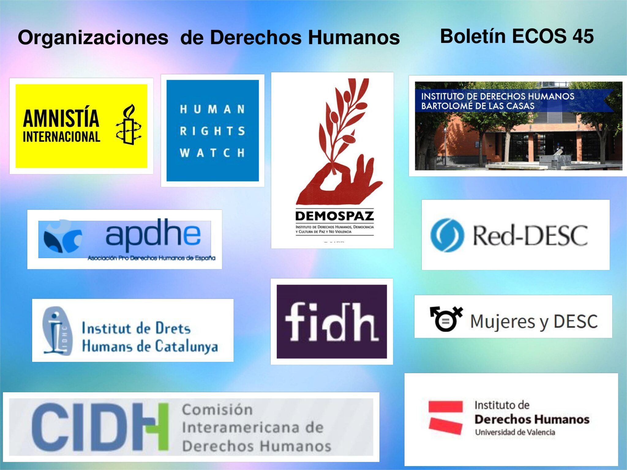 Protección de los derechos humanos en México: Descubre las principales instituciones encargadas ...